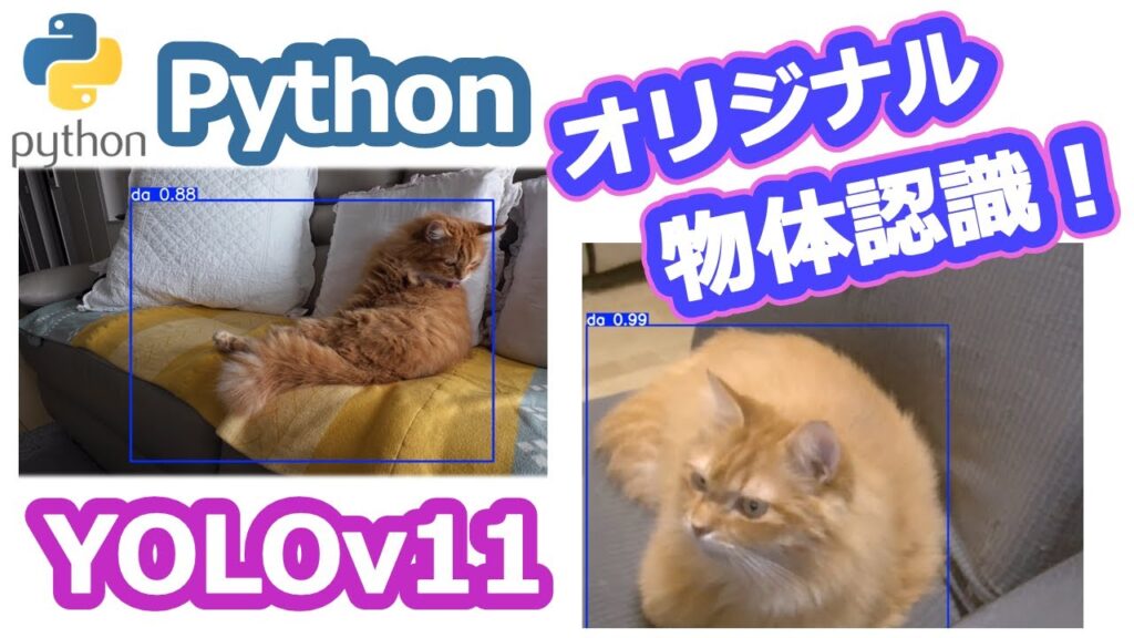 【Python】YOLOv11で独自画像を学習！〜アノテーションから学習手順まで詳しく解説！〜 | Pythonちゃん