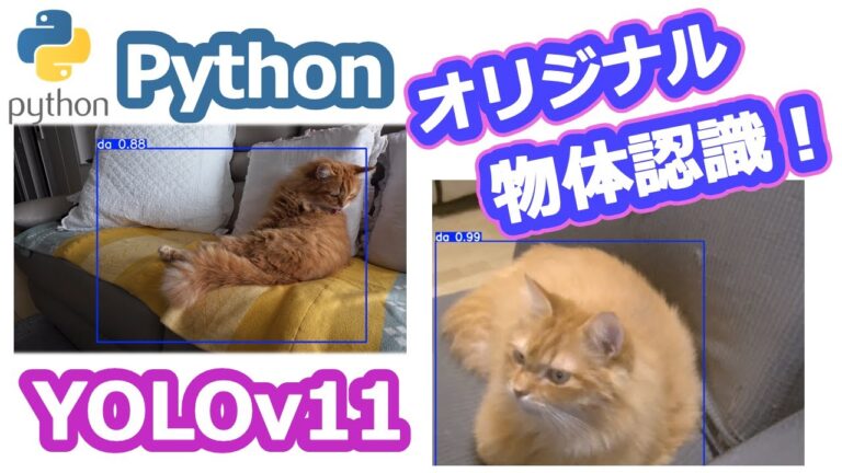 【Python】YOLOv11で独自画像を学習！〜アノテーションから学習手順まで詳しく解説！〜 | Pythonちゃん